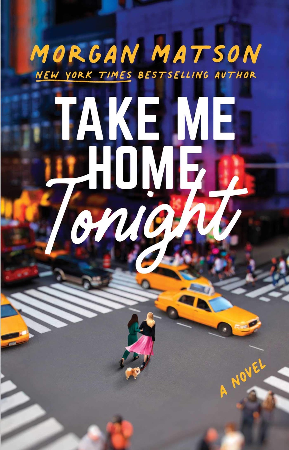 Take Me Home Tonight by Morgan Matson | Book Review